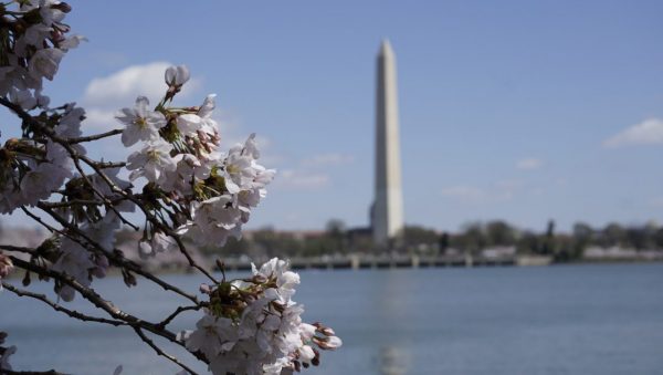 21 Best Spring Break Destinations in the US - Addie Abroad