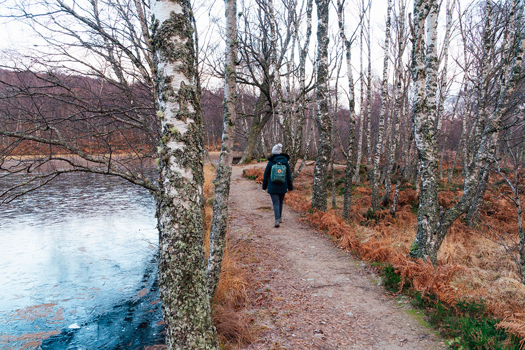Top 5 Things To Do in Aviemore, Scotland - Addie Abroad